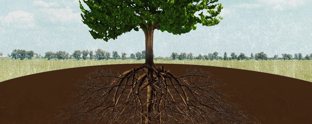 Rooted & Grounded (In Love) - St. Andrew Lutheran Church